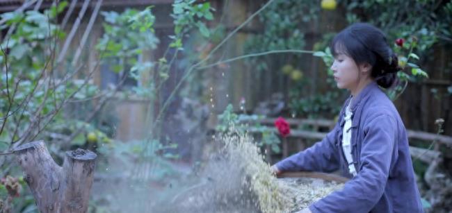 Li Ziqi, who is about to make a comeback, and her 17.8 million overseas ...