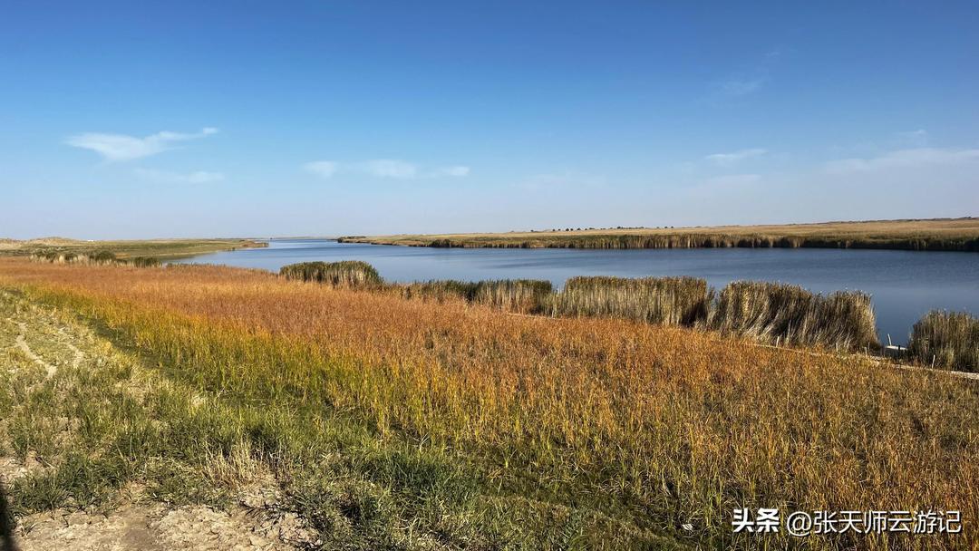 The 37th day of self-driving tour in Xinjiang Niya Wetland Park Qiemo ...