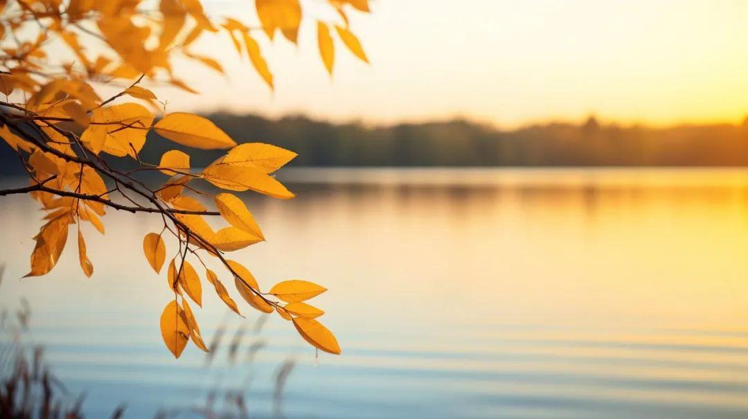 100 autumn poems, one leaf knows autumn, the cool breeze comes slowly ...