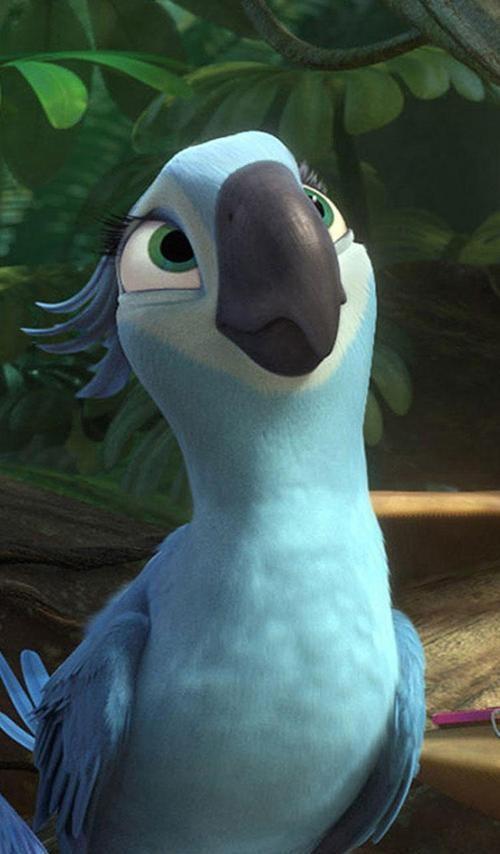 The animated film "Rio", the film's aesthetic features are ...