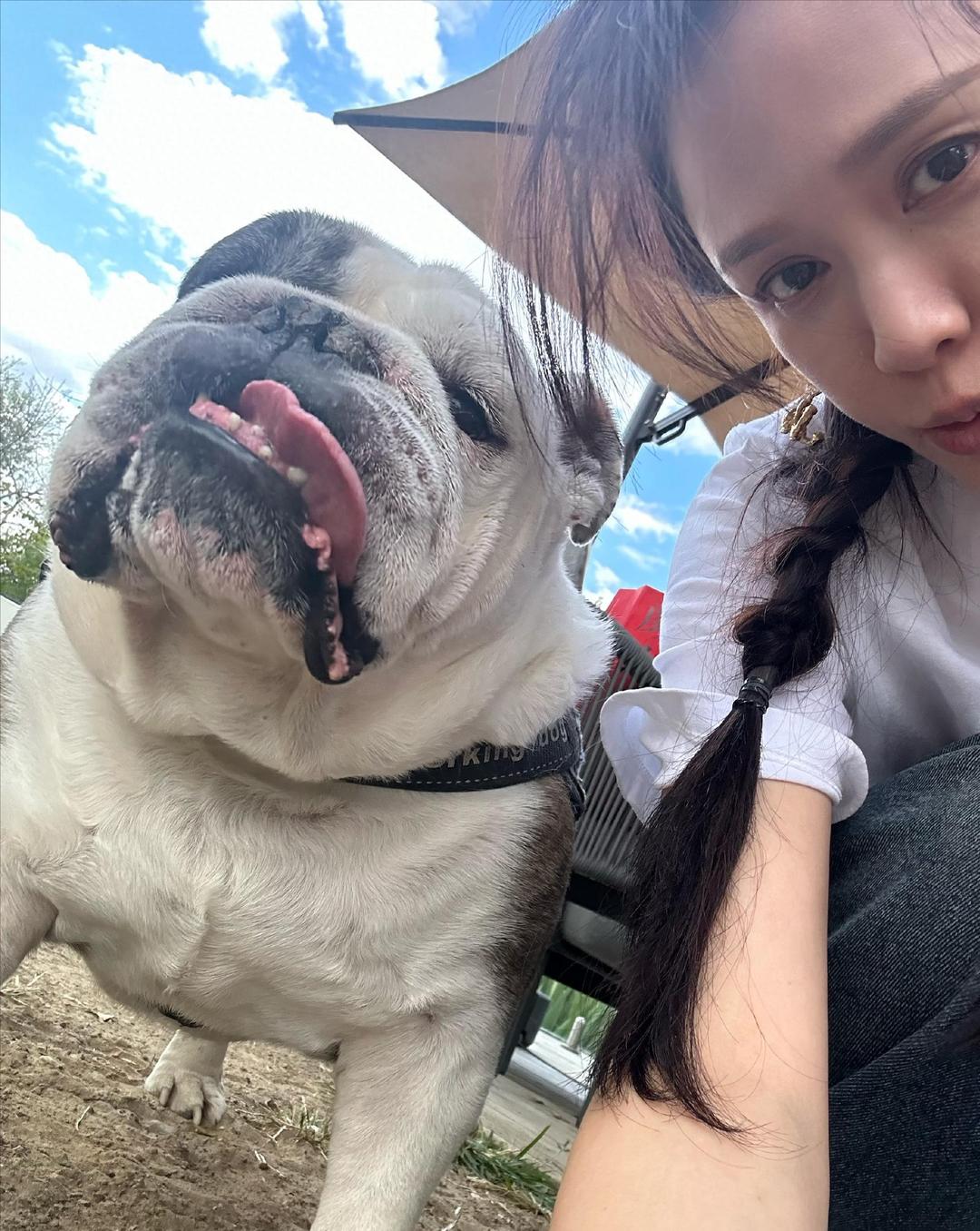 Celebrities support stray dogs, the truth about Yang Di, Liu Yase and ...