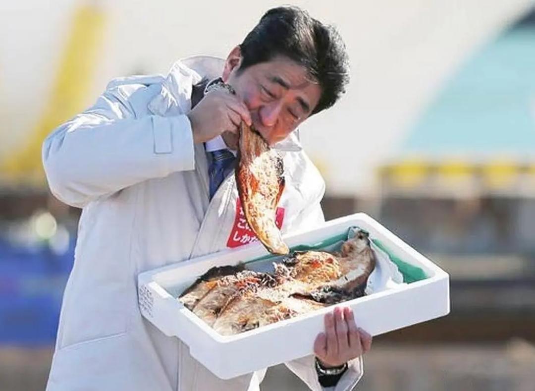 Did Fumio Kishida fail? The impact behind the Japanese Self-Defense ...