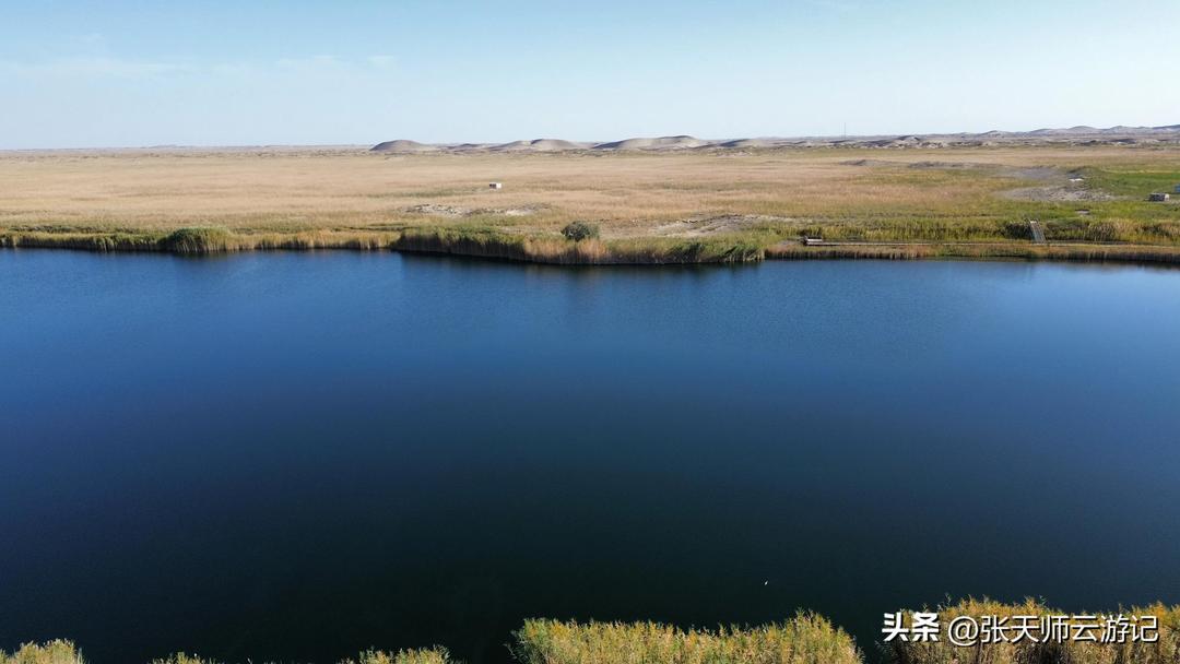 The 37th day of self-driving tour in Xinjiang Niya Wetland Park Qiemo ...