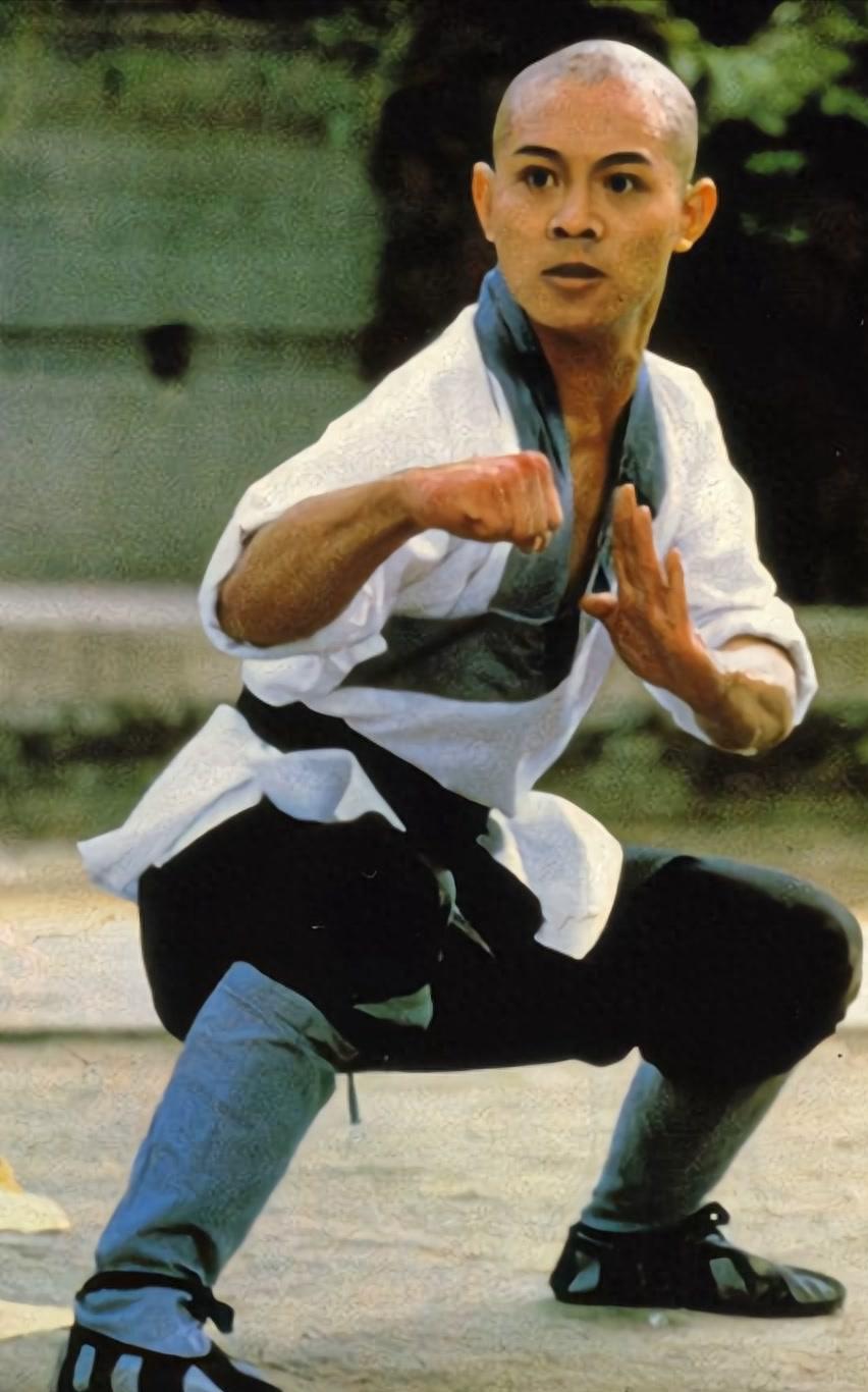 He broke Jet Li's arm with one punch and kicked Wu Jing away with one ...