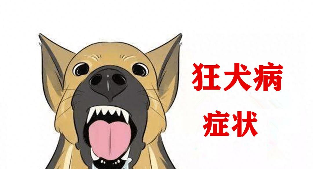 Nearly 60,000 people die from rabies every year. Is rabies really ...