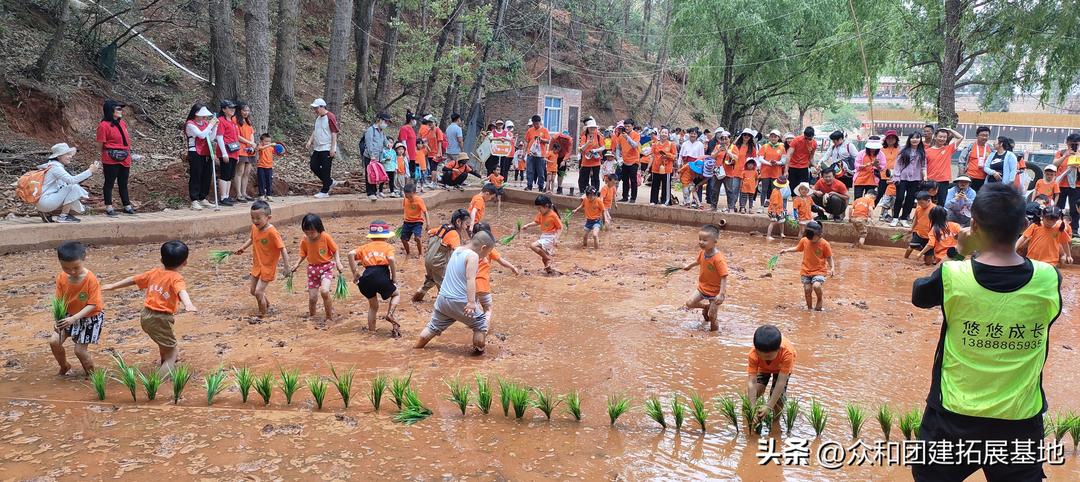 A must-go place for autumn outings for students in Kunming: n reasons ...