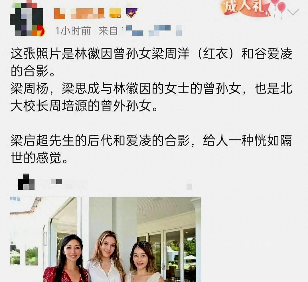 Lin Huiyin's great-granddaughter took a photo with Eileen Gu. Her ...