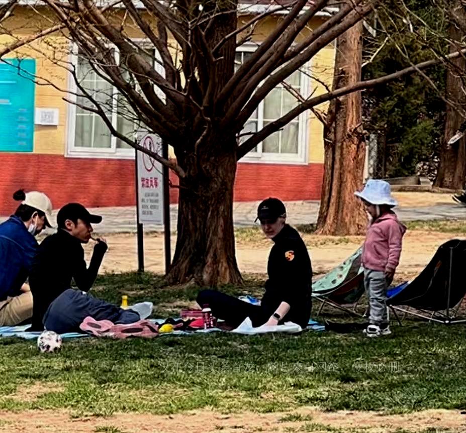 Sa Beining and his wife took their twins to the park for a picnic, Li ...