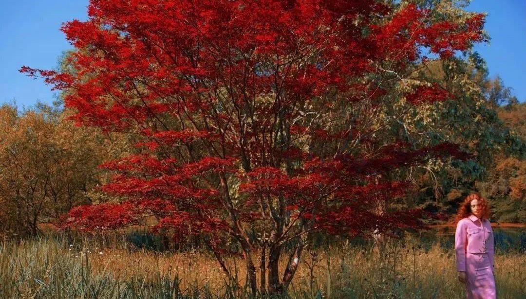 Red is back in style and it's perfect to wear now! - iNEWS