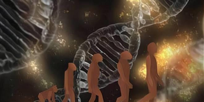 The Mystery of Human Origins: Exploring the First Male and Female ...