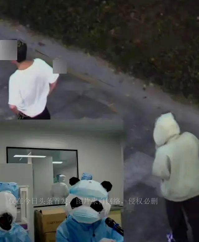 Bailu and Zhang Linghe are together? The two spent the night together ...