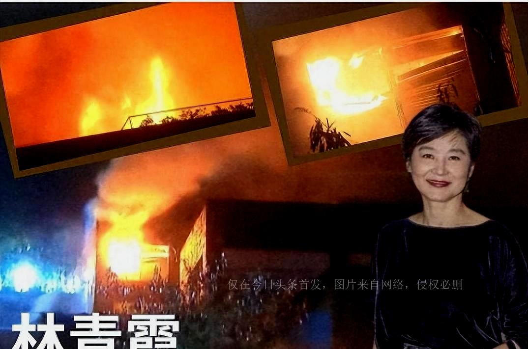 29 years later, looking at Brigitte Lin's marriage again, I understand ...
