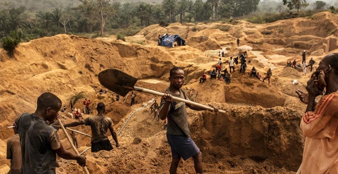 A few days after China officially announced the ban, the Democratic ...