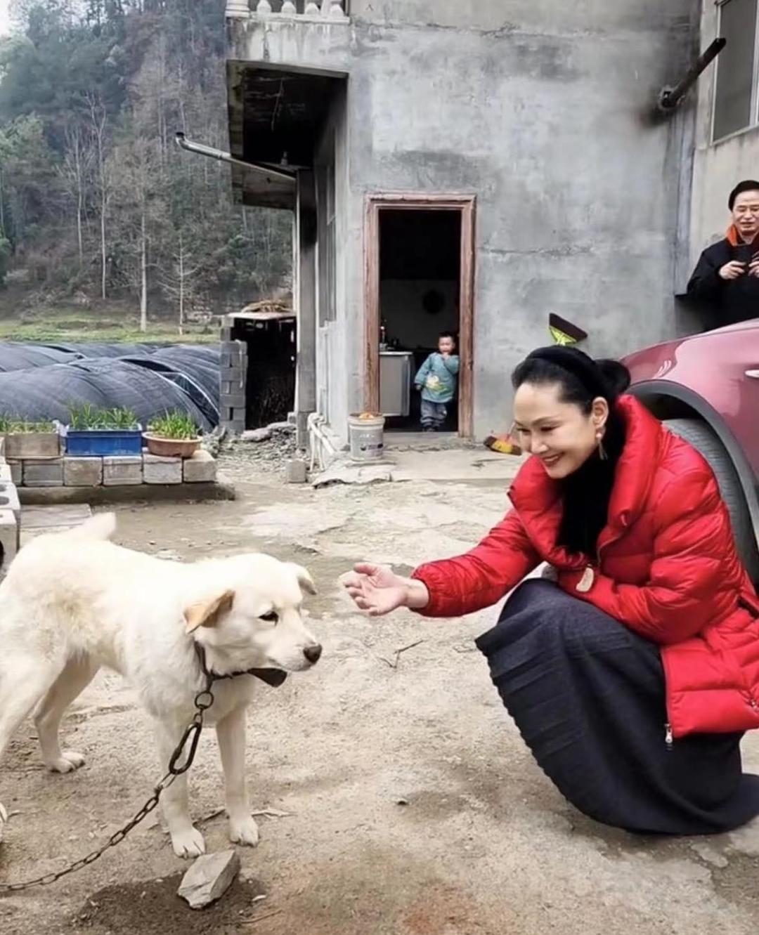 56-year-old Yu Wenhua returned to live in the countryside. He built a ...