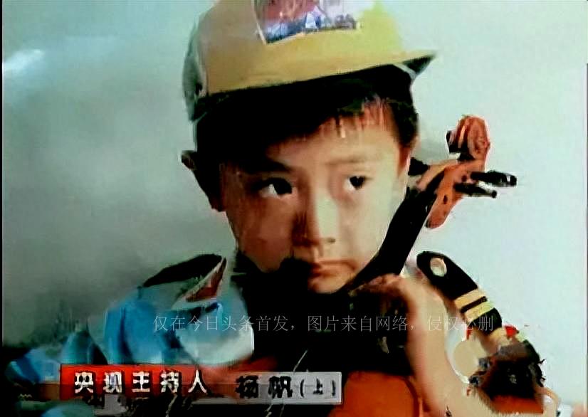 CCTV host Yang Fan: Married to childhood sweetheart and gained ...