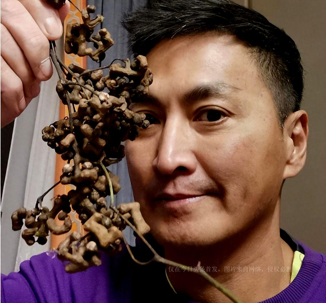 "Zhan Zhao" He Jiajin ate the unknown fruit and showed off its ...