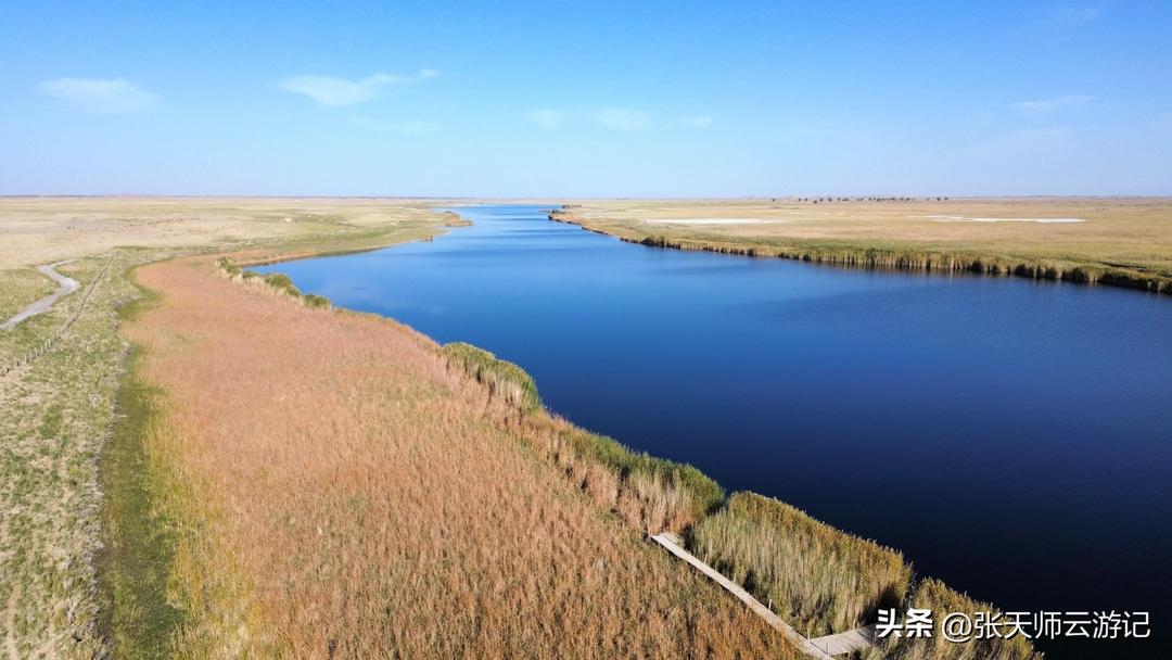 The 37th day of self-driving tour in Xinjiang Niya Wetland Park Qiemo ...