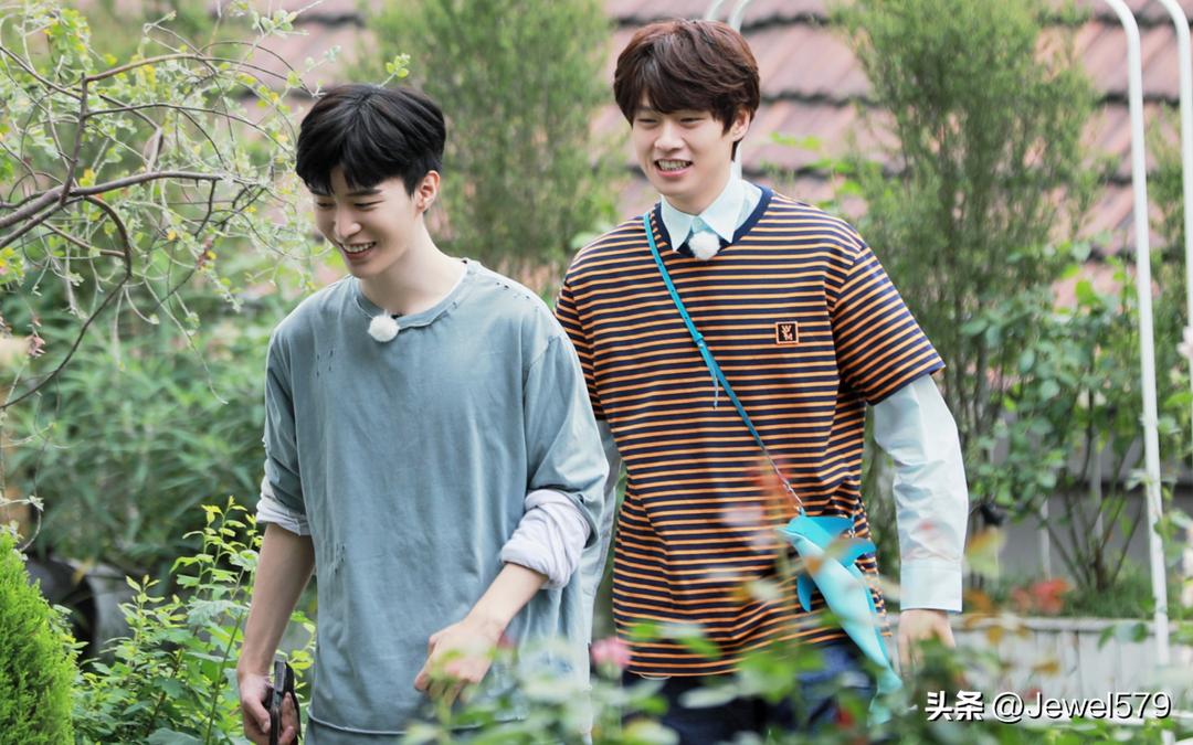 "Brothers Wei and Fan": Wei Daxun - iMedia