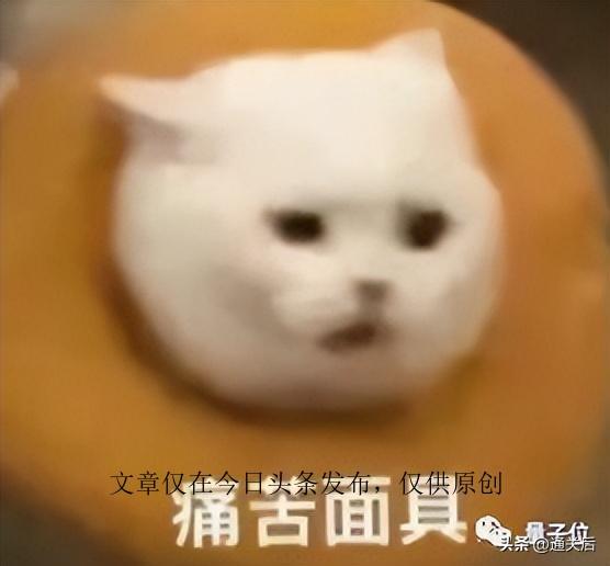 Without AI computing power, we may not be able to win the battle of ...