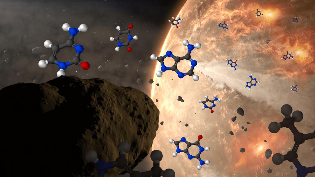 The Origin of Life on Earth: How did life first appear on Earth? - iMedia