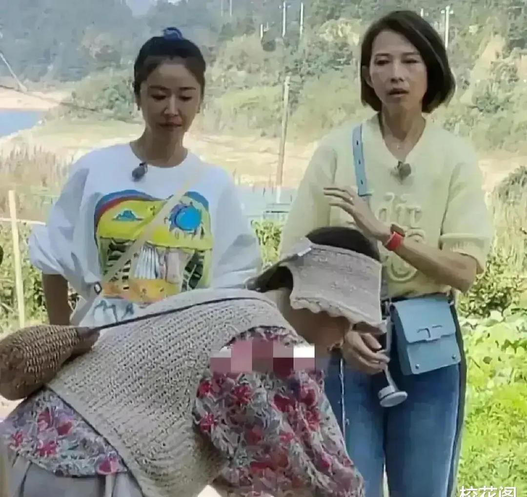 Celebrity Beauty Show! Ada Choi takes close care of Joe Chen and Xie Na ...