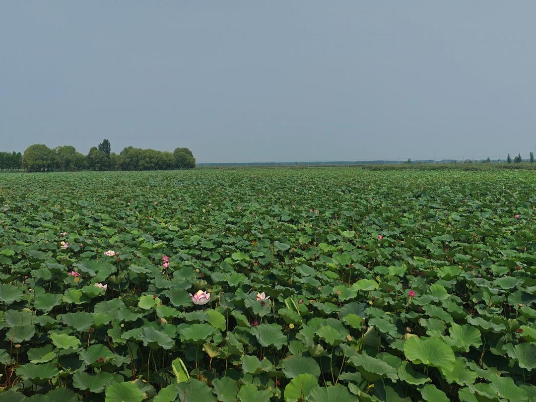 Weishan Lake Scenic Area - iMedia
