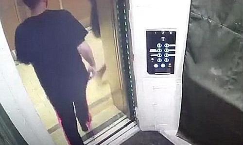 After entering the elevator, the two exerted pressure on all floors and ...