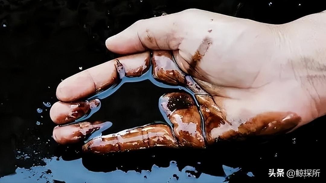 Was oil formed by paleontology? With hundreds of millions of tons of ...