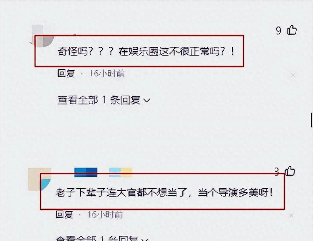 Facts have proved that Chen Hong and Chen Kaige are the Wang Zha couple ...