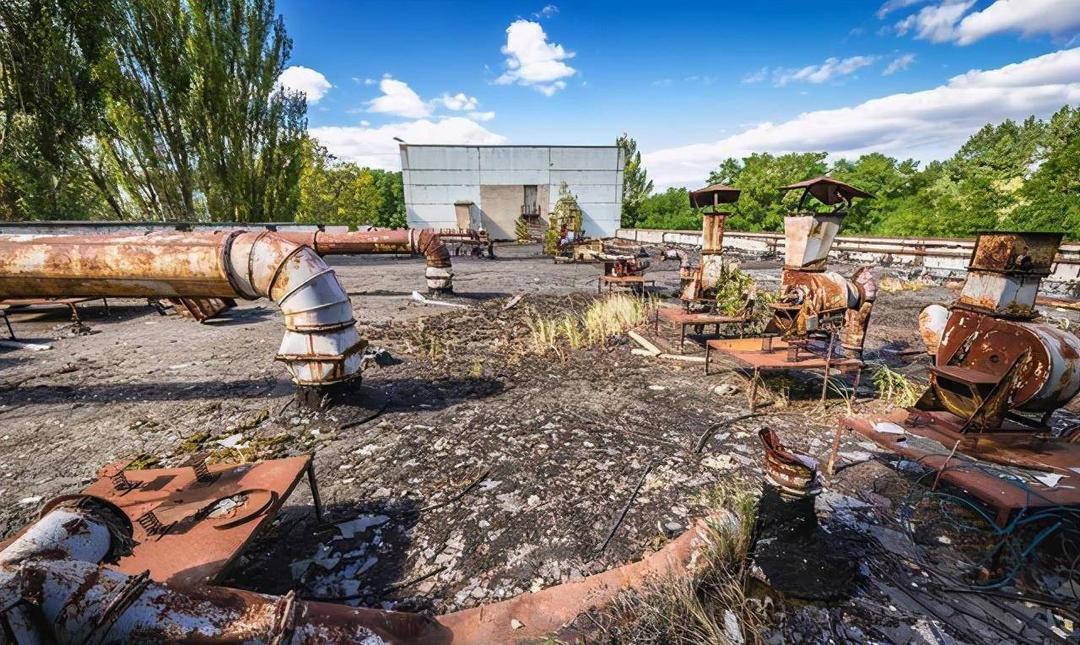 Chernobyl: Utopia for wildlife, no-go zone for human death - iNEWS