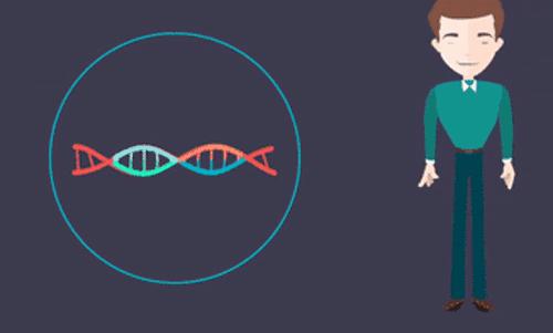 How harmful is inbreeding? This is a "curse" from genes that cannot be ...