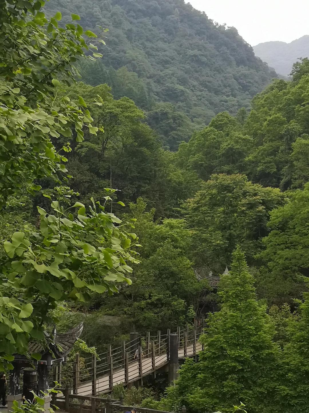 Travel Notes on the Back Mountains of Qingcheng Mountain - iNEWS