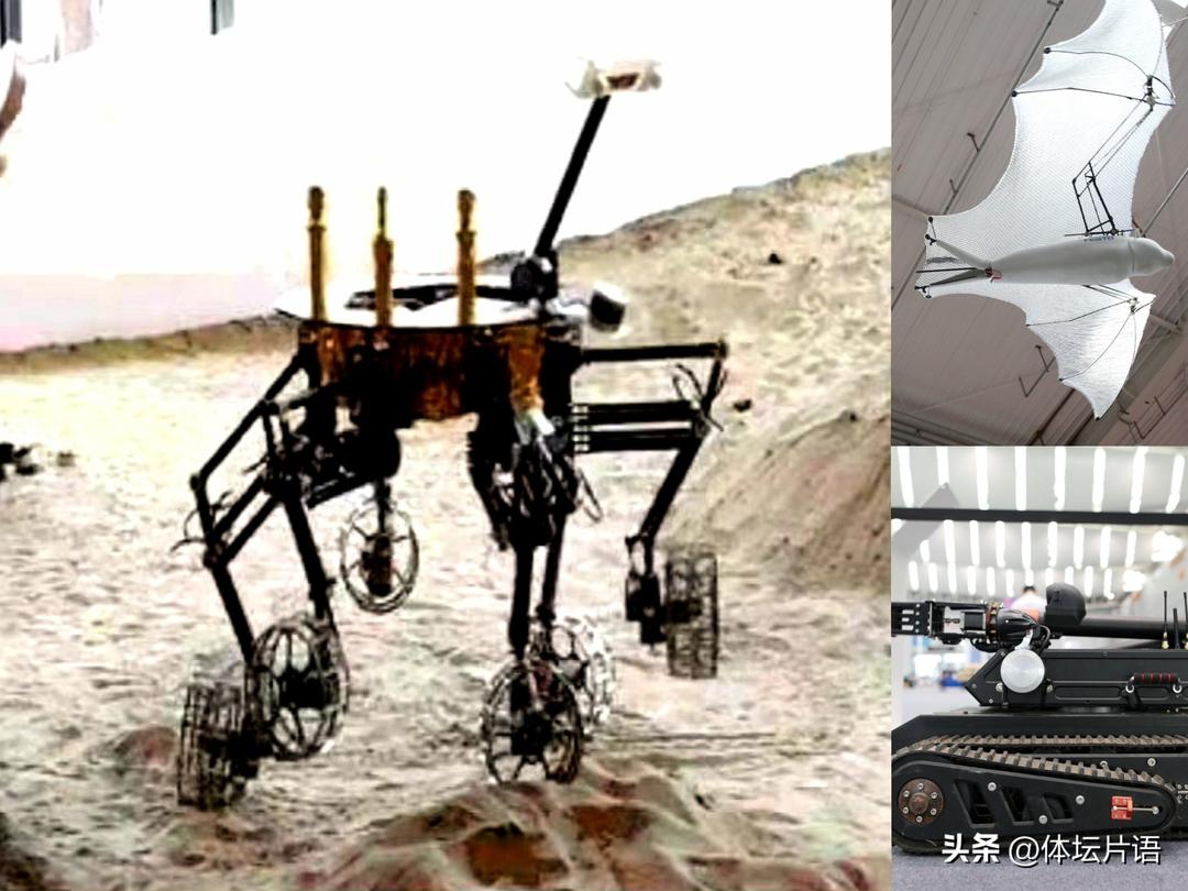 "Cave" is China's lunar scientific research base. Exploration robots ...