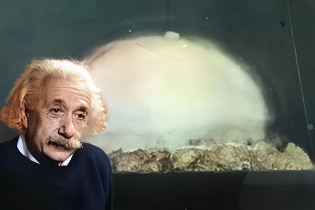 After the atomic bomb exploded over Japan, why did Einstein say "I am ...