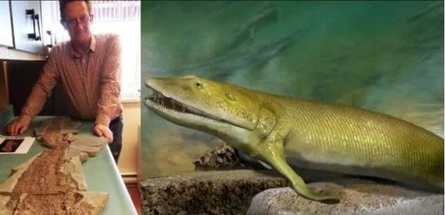 100 million years ago, snake ancestors evolved independently 26 times ...