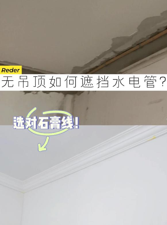 Plaster line: make your room instantly lively - iNEWS