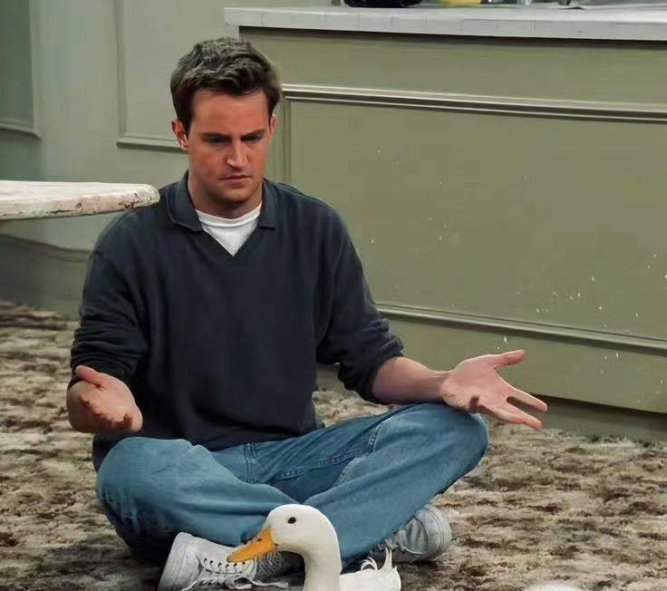 "Friends" actor Matthew passed away unexpectedly, and the story of ...