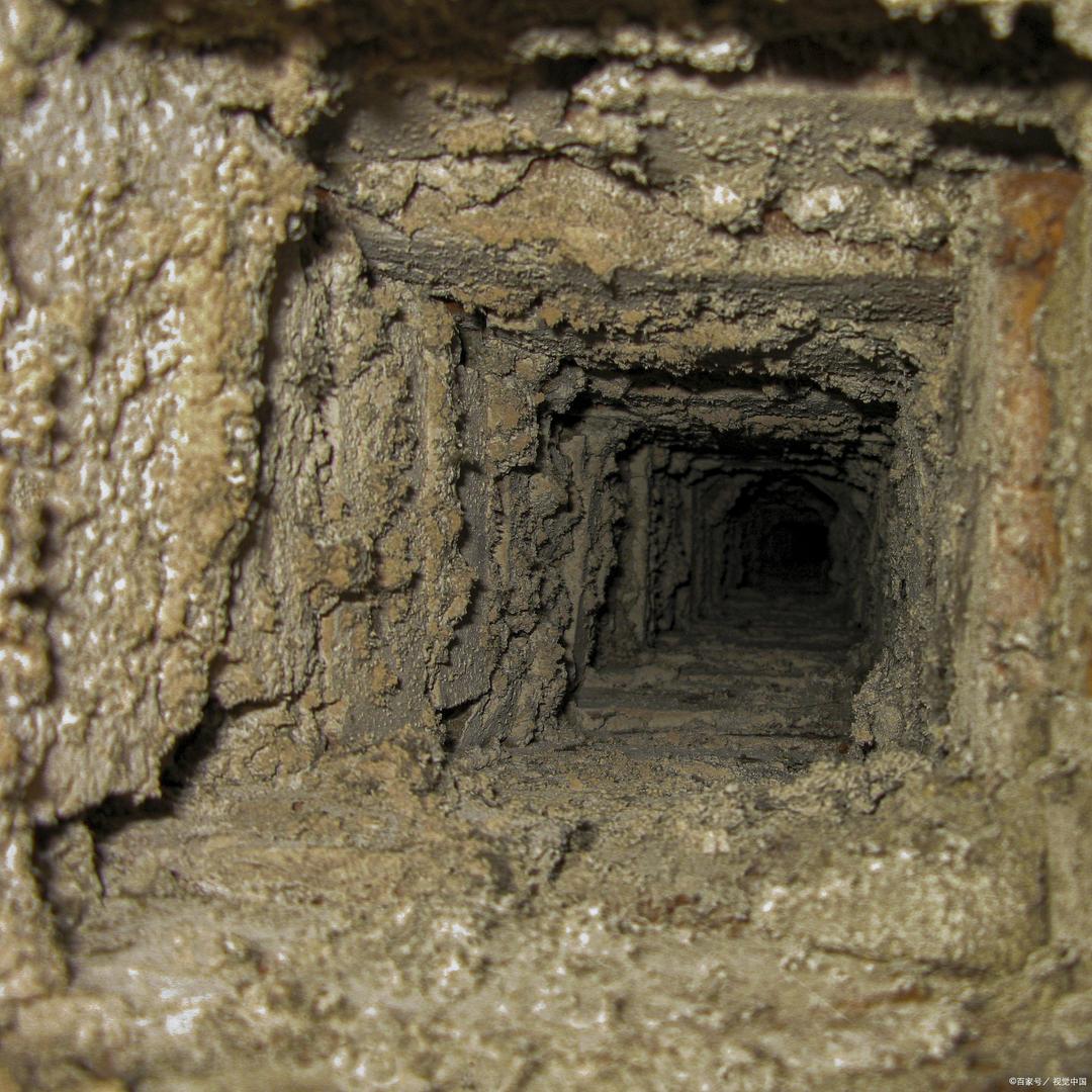 What is the difference between archeology and tomb robbing? - iMedia