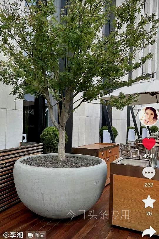 Host Li Xiang sparks heated debate by supporting brands that insult ...