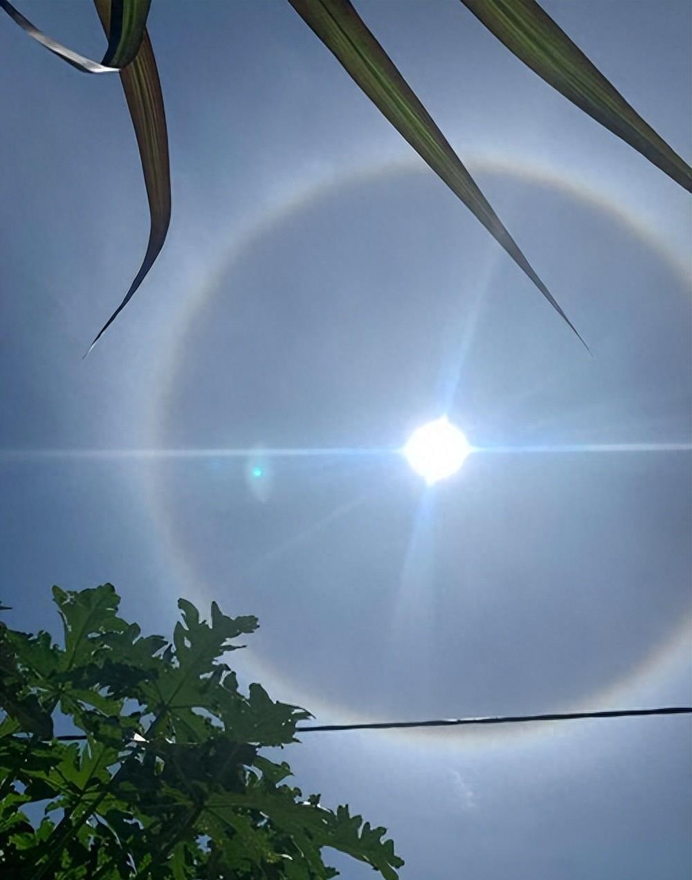 What exactly does the sun use as fuel, and why has it not burned out ...