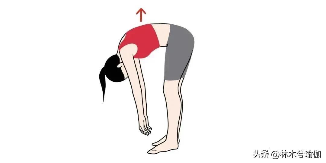 Why do yoga teachers often say: Don't arch your back! Your spine is ...