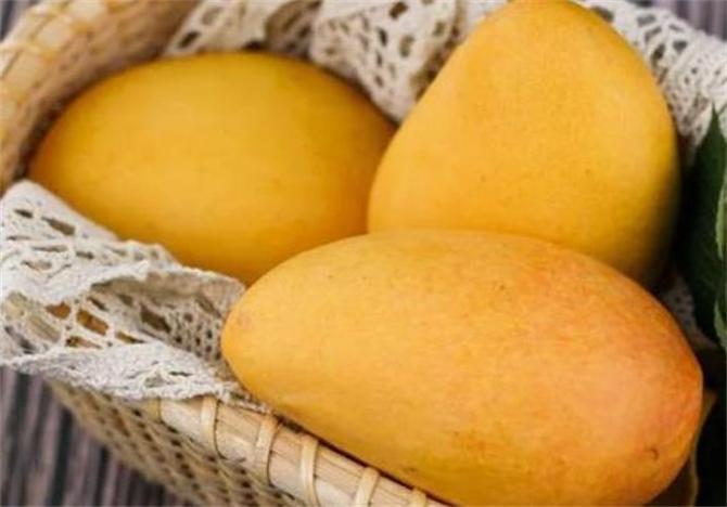Mangoes are delicious but difficult to preserve. Here are 3 tips on how ...