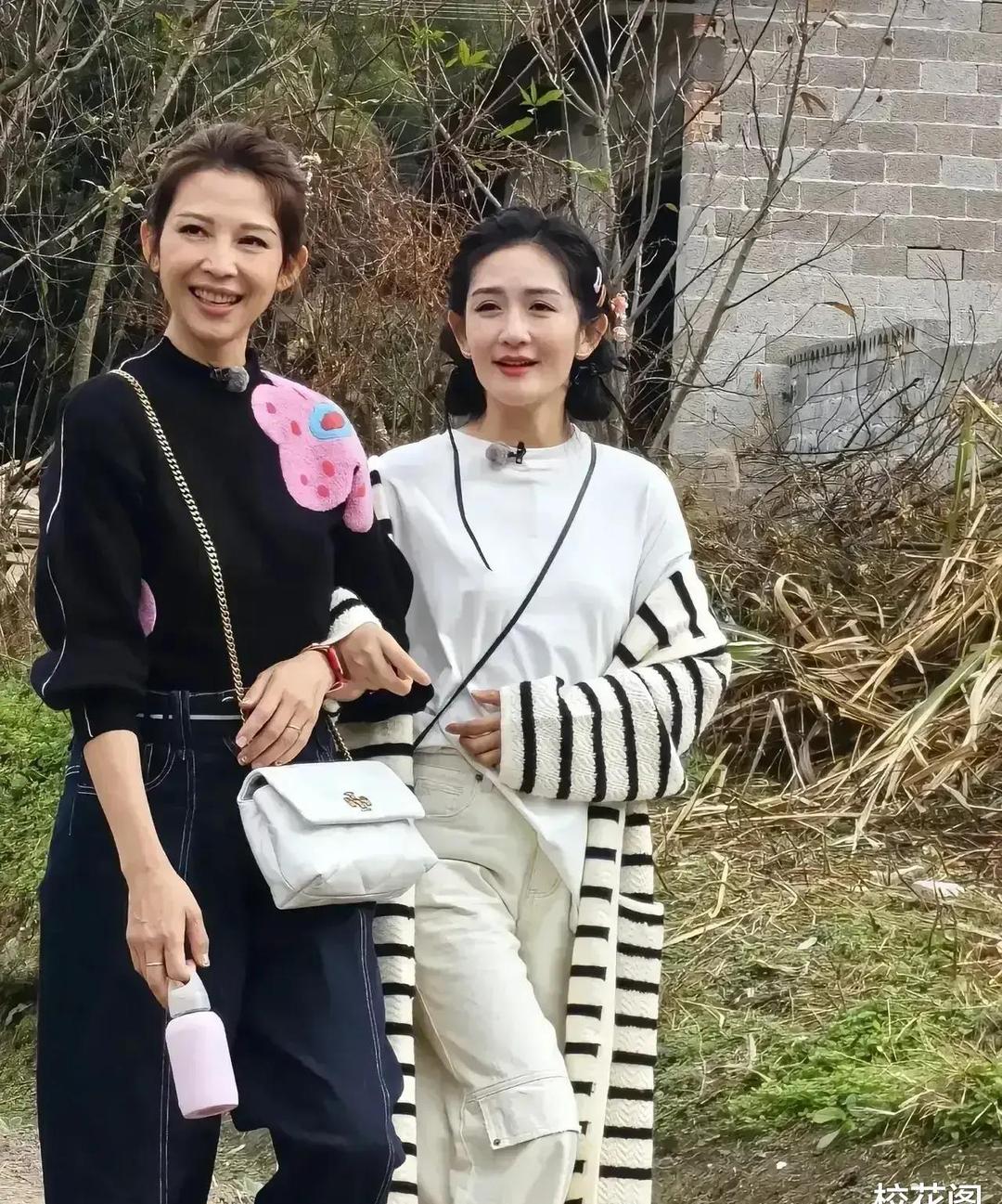 Celebrity Beauty Show! Ada Choi takes close care of Joe Chen and Xie Na ...