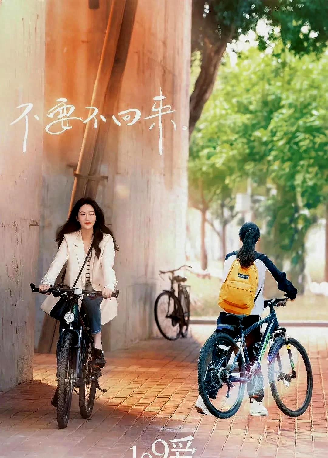 A collection of celebrity Valentine's Day couple posters, Hu Xianxu and ...