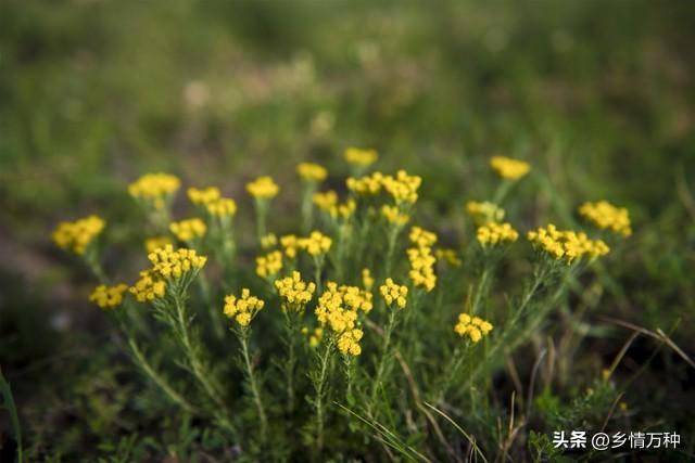 Plant resilience: How to cope with climate change - iNEWS