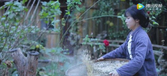 Li Ziqi left for 700 days and now returns for "rebirth", stunning and ...