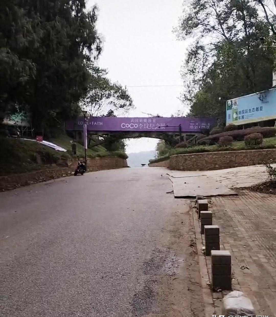 Coco Lee cemetery photos exposed! A variety of colors complement each ...