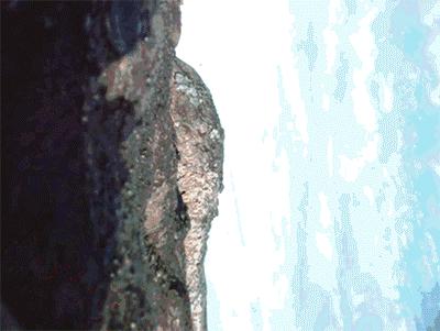 Volcano Love: A Passionate and Extraordinary Journey of Discovery - iNEWS