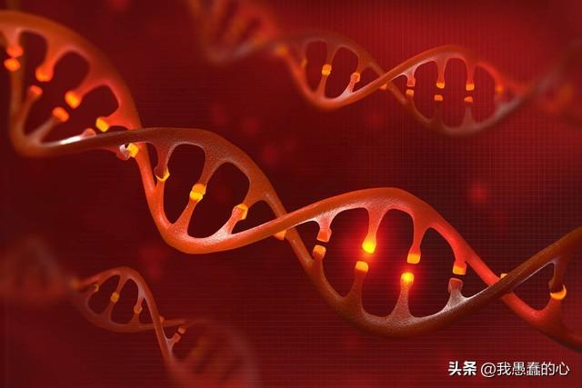 Life continuation—Analysis of the transformation from carbon-based life ...