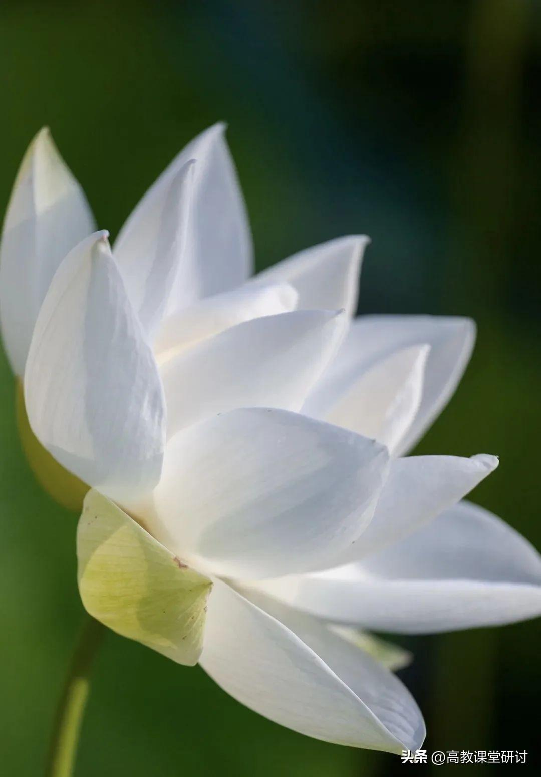 Liang Mufan: Why is school moral and emotional education ineffective ...